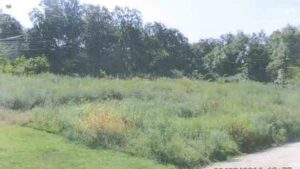 Code Violations - Grass - City of North Little Rock